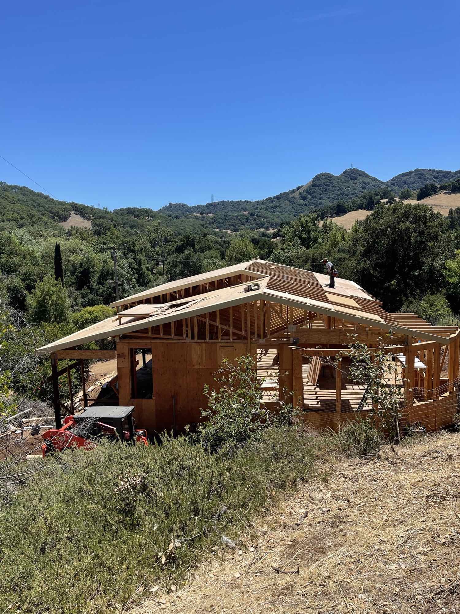The King Residence - Carlson Construction